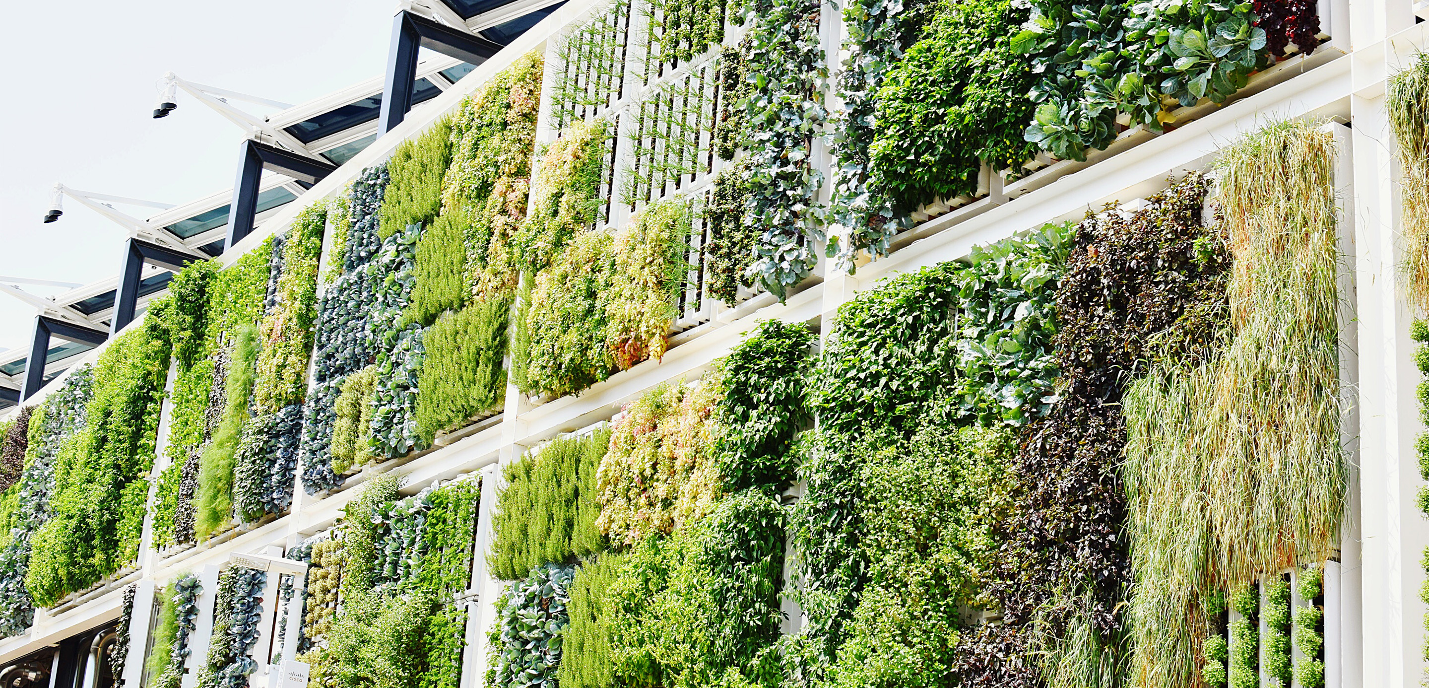 The Business of Sustainability | HSBC Mauritius