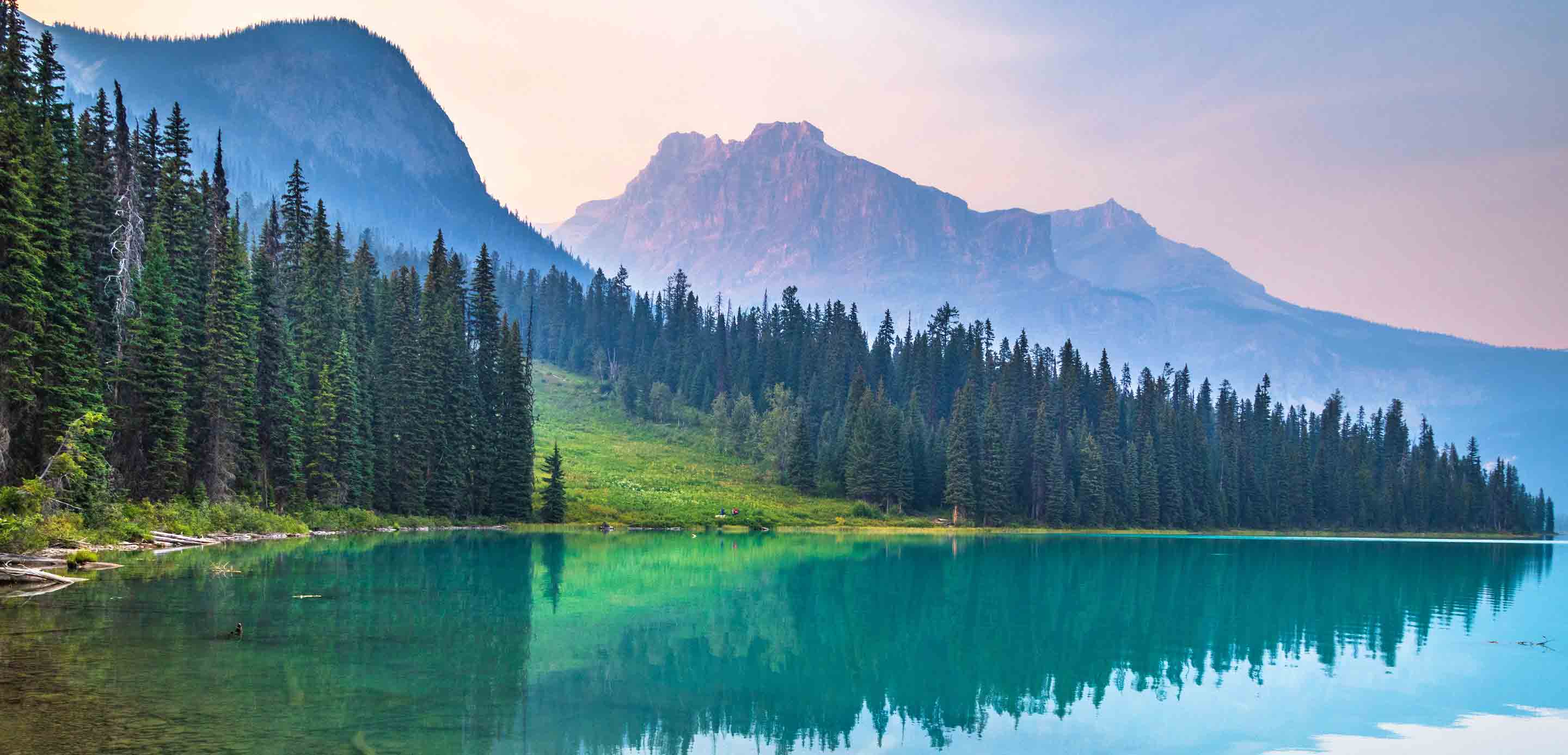 Commercial Banking, Business Banking | HSBC Mauritius